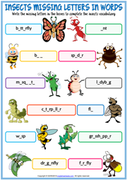 Insects ESL Vocabulary Worksheets